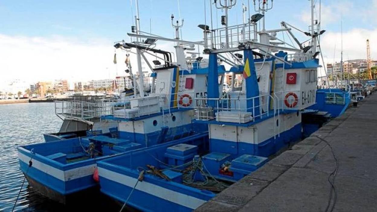 La flota espera las licencias para faenar en Marruecos | Canarias7