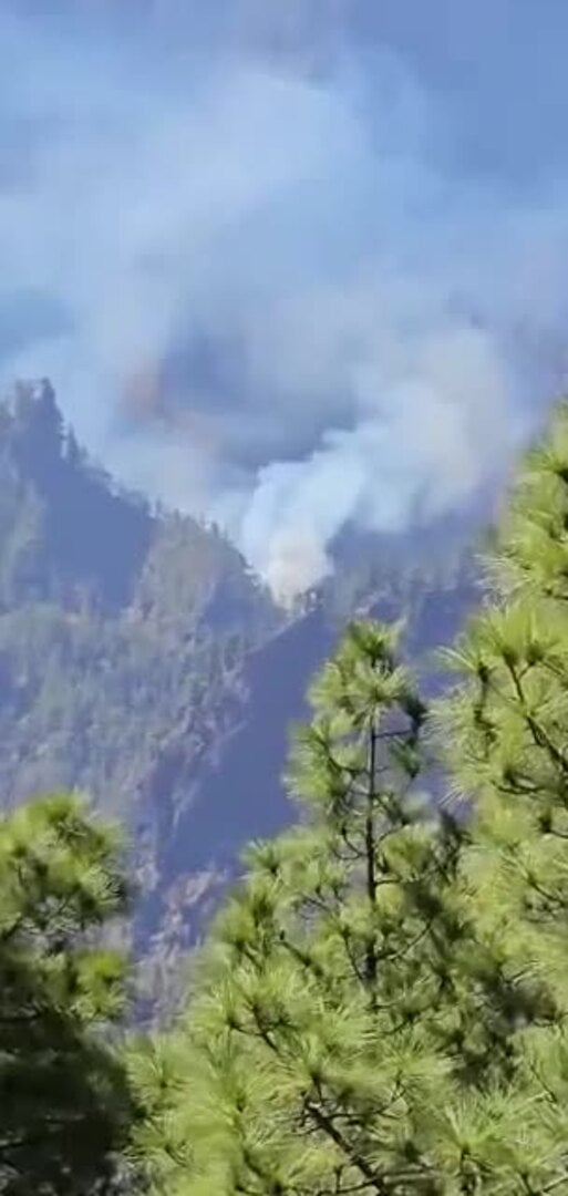 Conato forestal en interior de La Caldera de Taburiente, en el ...