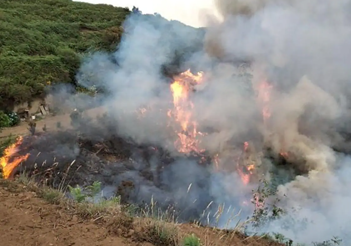 Rechazan dejar en libertad al acusado de provocar el incendio de julio en Los Realejos | Canarias7