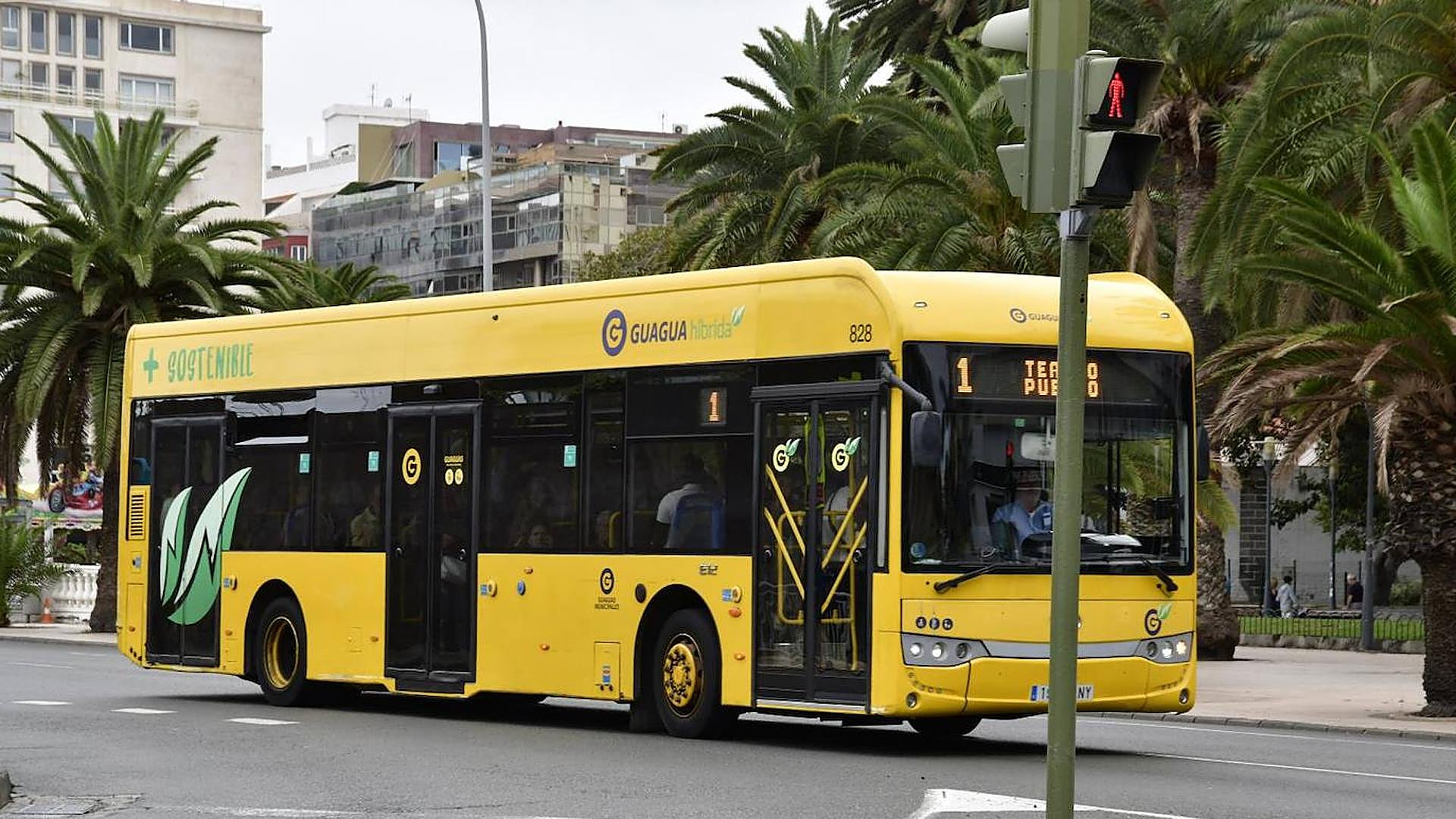 Las guaguas vuelven a circular por el carril bus de la calle Juan Rejón ...