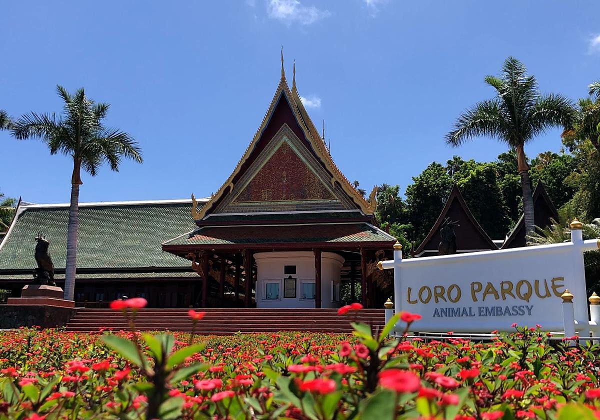 Loro Parque y Loro Parque Fundación donan 100.000 euros para ayudar a ...
