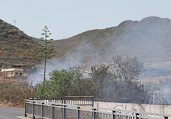 Incendio en Tenerife: arde una zona de la Finca España, en La Laguna ...