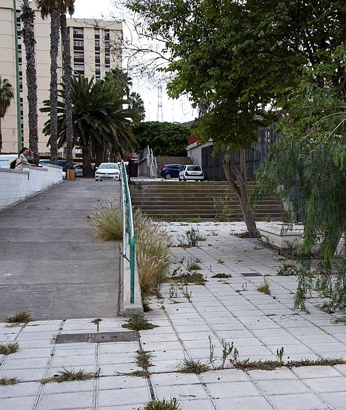 Nueva Paterna es una jungla | Canarias7