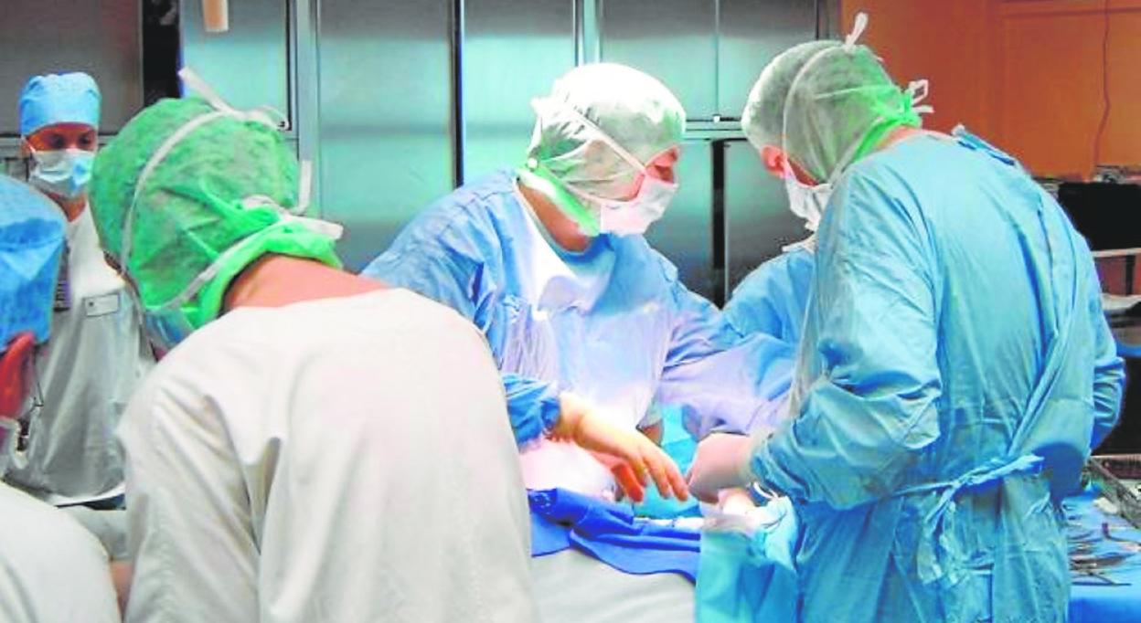 Se busca dueño de pierna amputada | Diario Sur