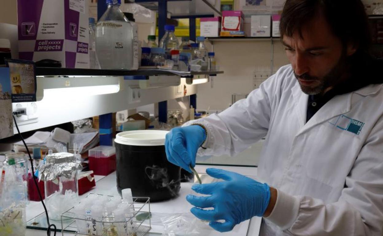 Las universidades públicas andaluzas sitúan a 420 investigadores en la ...