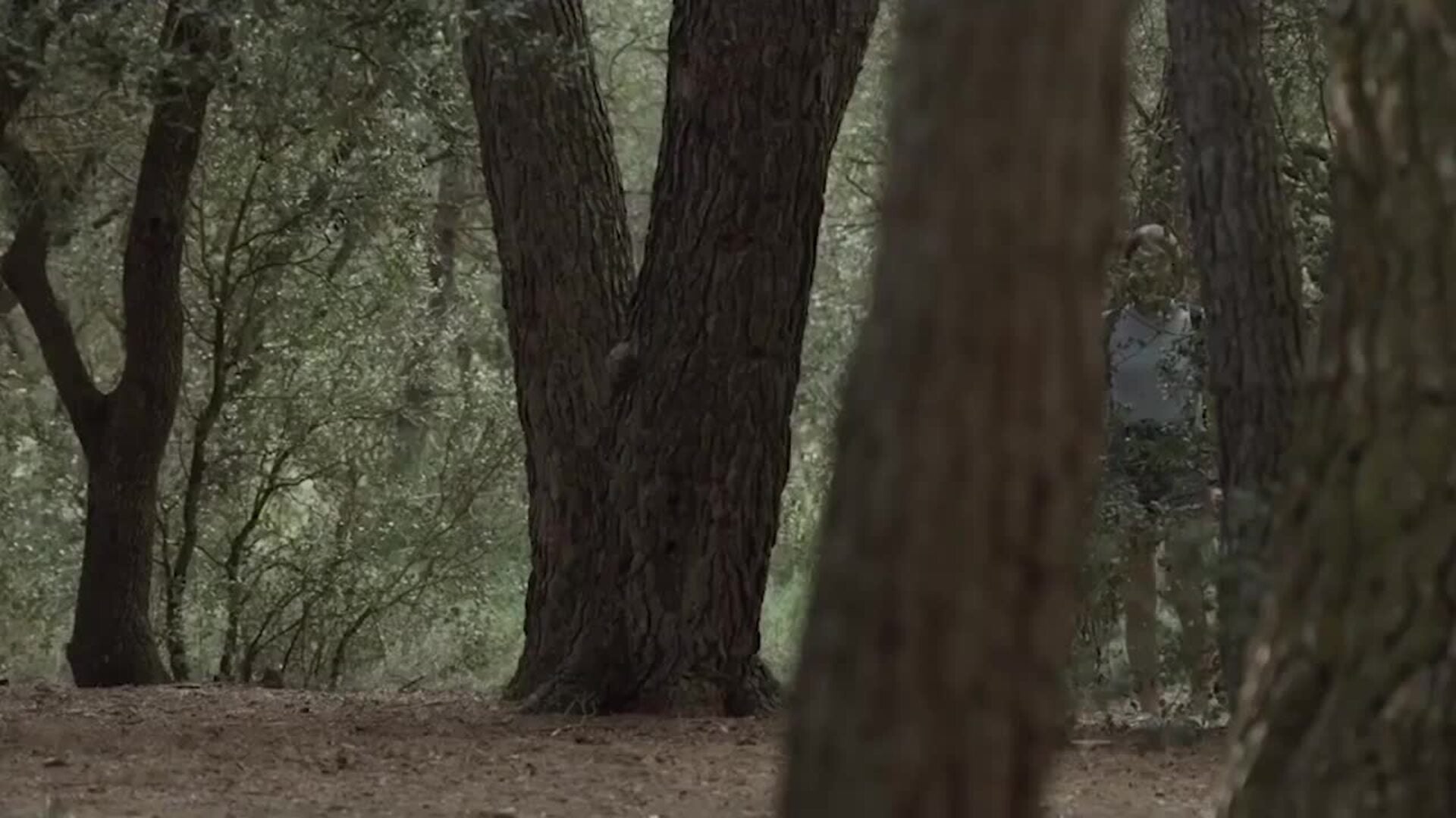 Laia Manzanares y Manolo Solo protagonizan la película 'La Desconocida ...