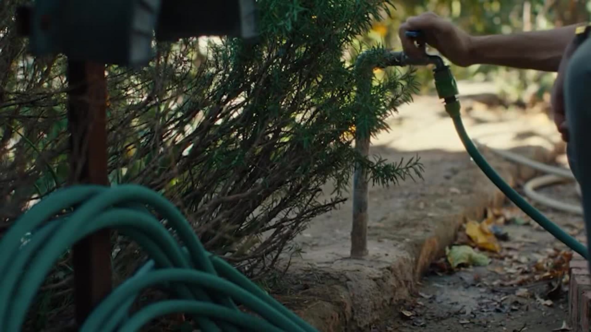 'Segundo premio' y 'Radical' conquistan el Festival de Málaga con la ...