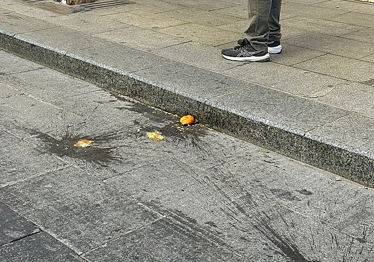 Naranjas y hojas secas: los enemigos en La Malagueta | Diario Sur