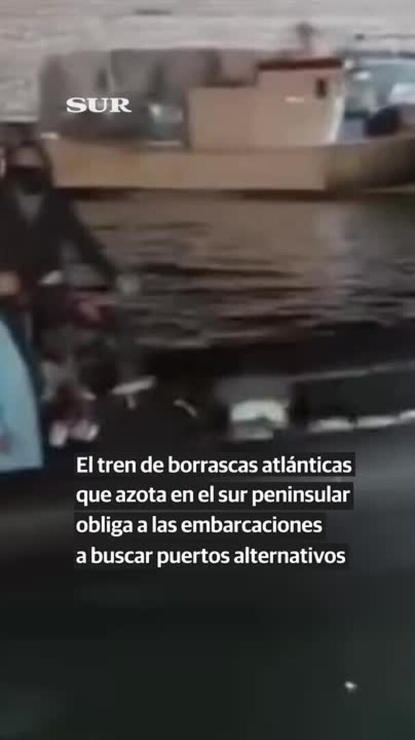 El narco se refugia por primera vez en el puerto de Caleta de Vélez ...