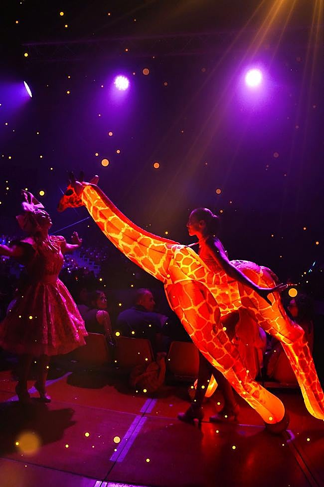 El Circo de la Luz llega a Málaga con un espectáculo único que combina ...