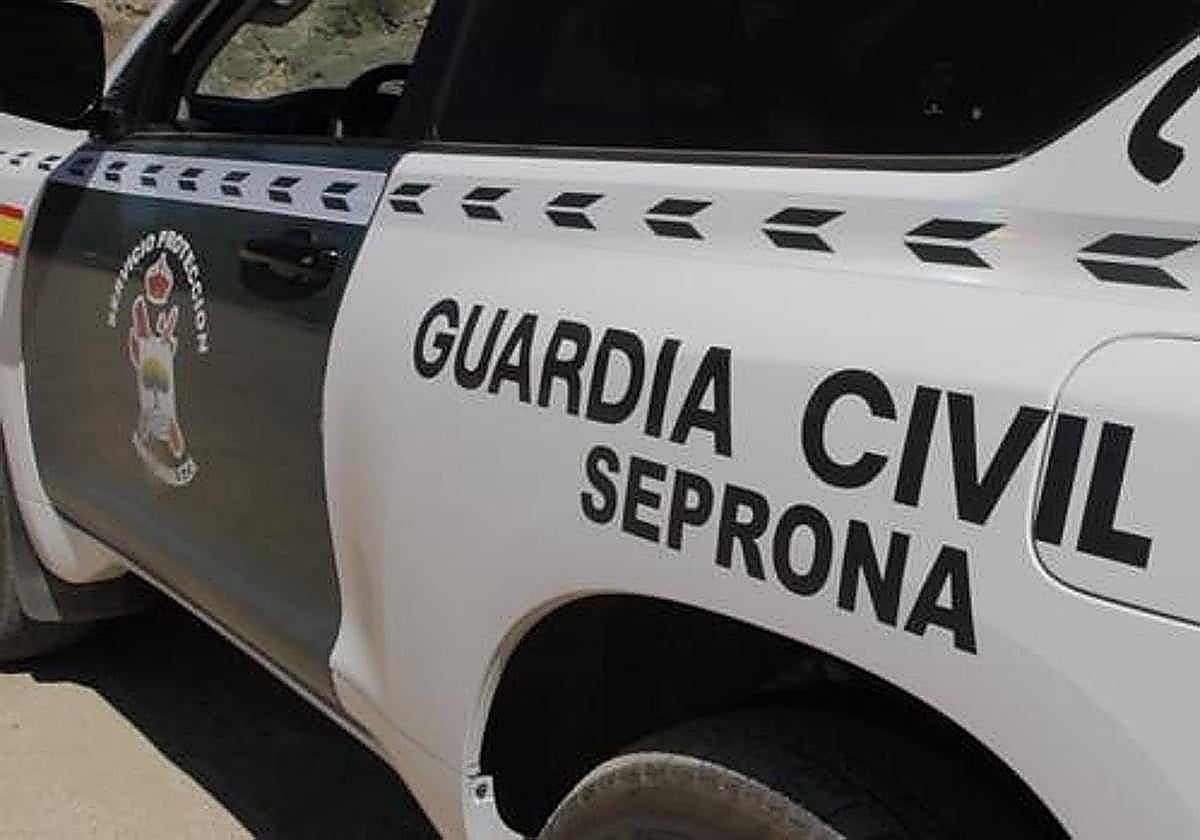 La Guardia Civil rescata a una cabra montesa atrapada en una balsa de ...