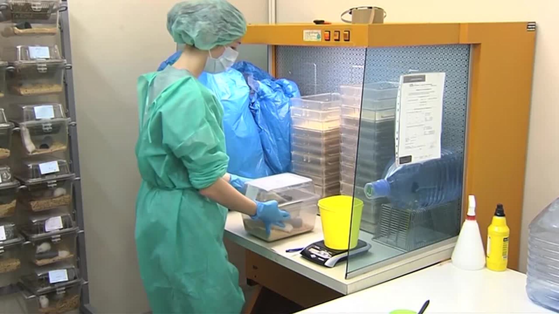 Suiza confirma un tercer caso de hantavirus procedente del crucero ...