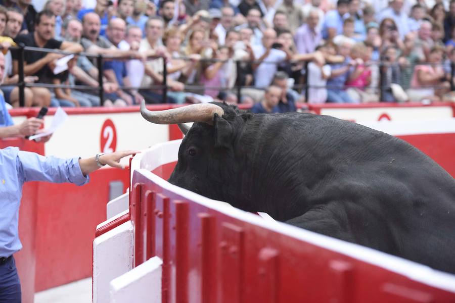 Fotos: Desencajonamiento de los toros en Azpeitia | El Diario Vasco