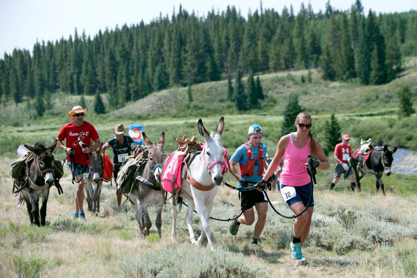Fotos: Carreras de burros | El Diario Vasco