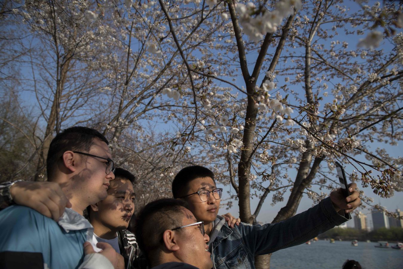 Fotos: Los cerezos comienzan a florecer en China | El Diario Vasco