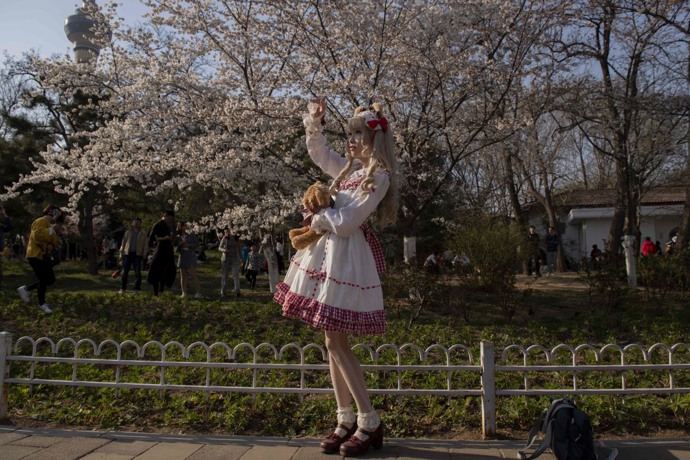 Fotos: Los cerezos comienzan a florecer en China | El Diario Vasco