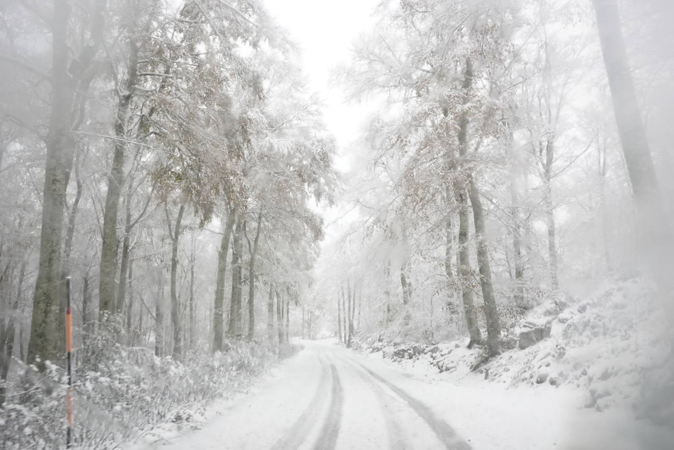Nieve en Aralar: la previsión se cumple y llega la primera nevada | El ...