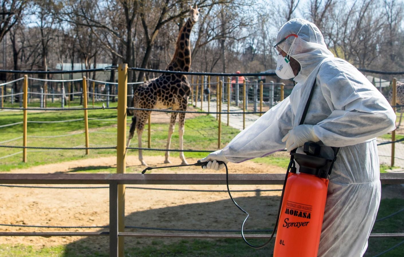 Fotos: Cuarentena en el zoo | El Diario Vasco