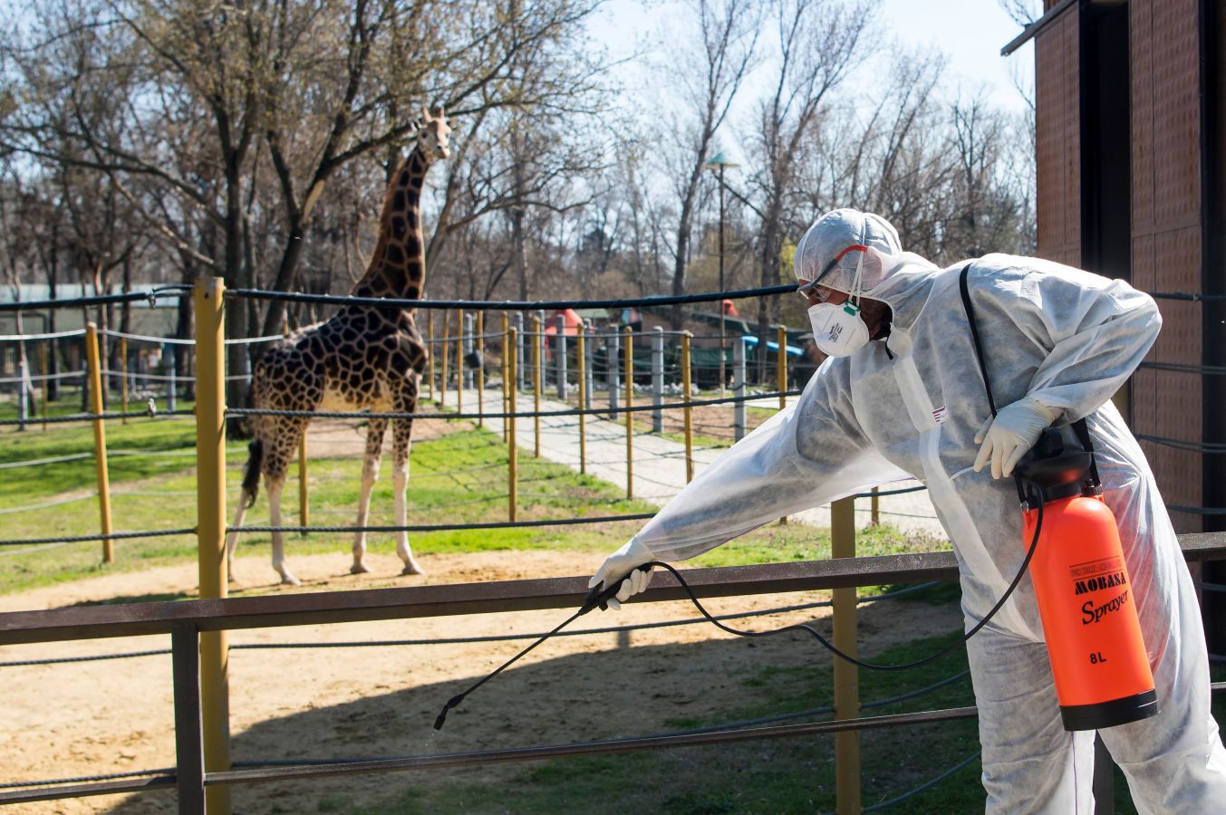 Fotos: Cuarentena en el zoo | El Diario Vasco