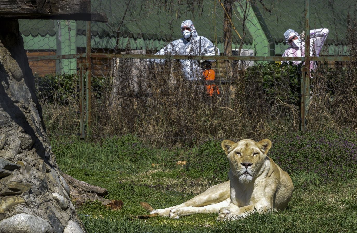 Fotos: Cuarentena en el zoo | El Diario Vasco