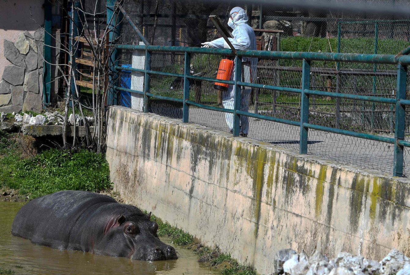 Fotos: Cuarentena en el zoo | El Diario Vasco