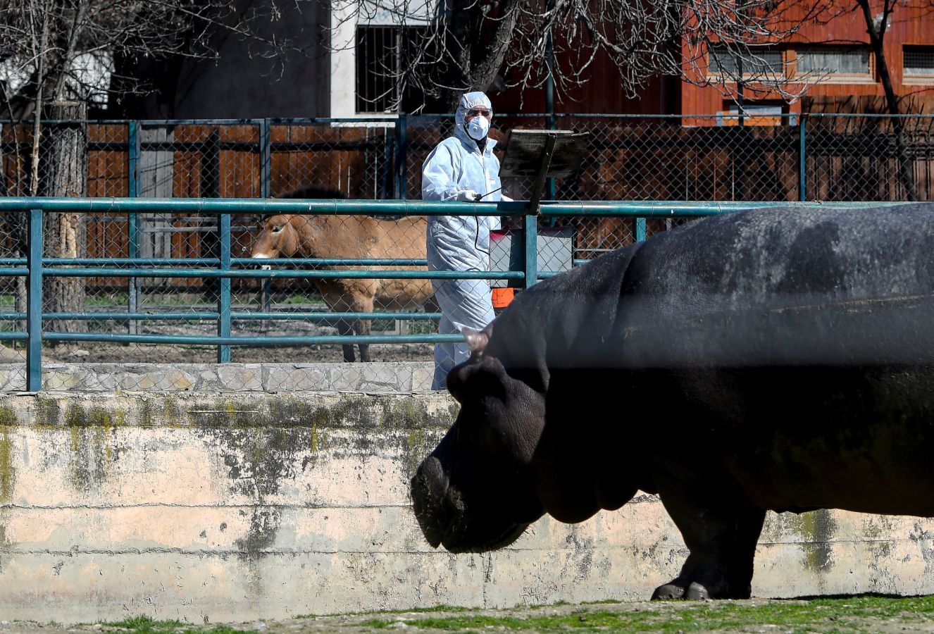 Fotos: Cuarentena en el zoo | El Diario Vasco
