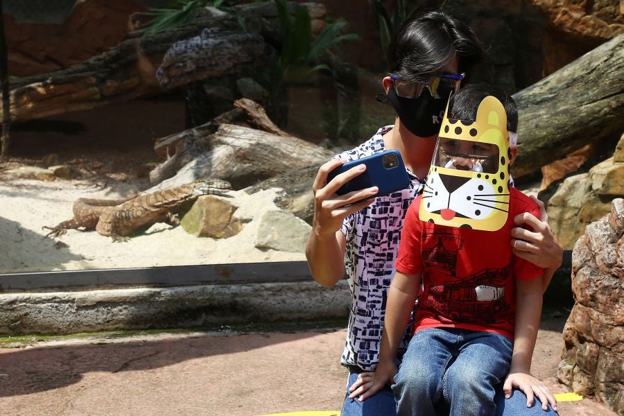 Fotos: El Zoológico de Cali, primero de América Latina en abrir sus ...