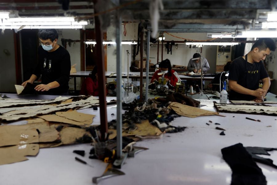 Fotos: El negocio del visón en China | El Diario Vasco