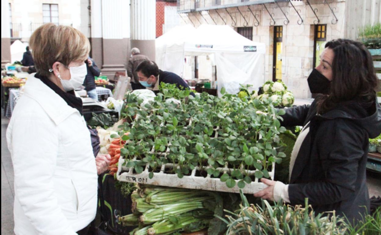 Marrubi usainaren iragarpena urteko lehen feriarekin batera | El Diario ...