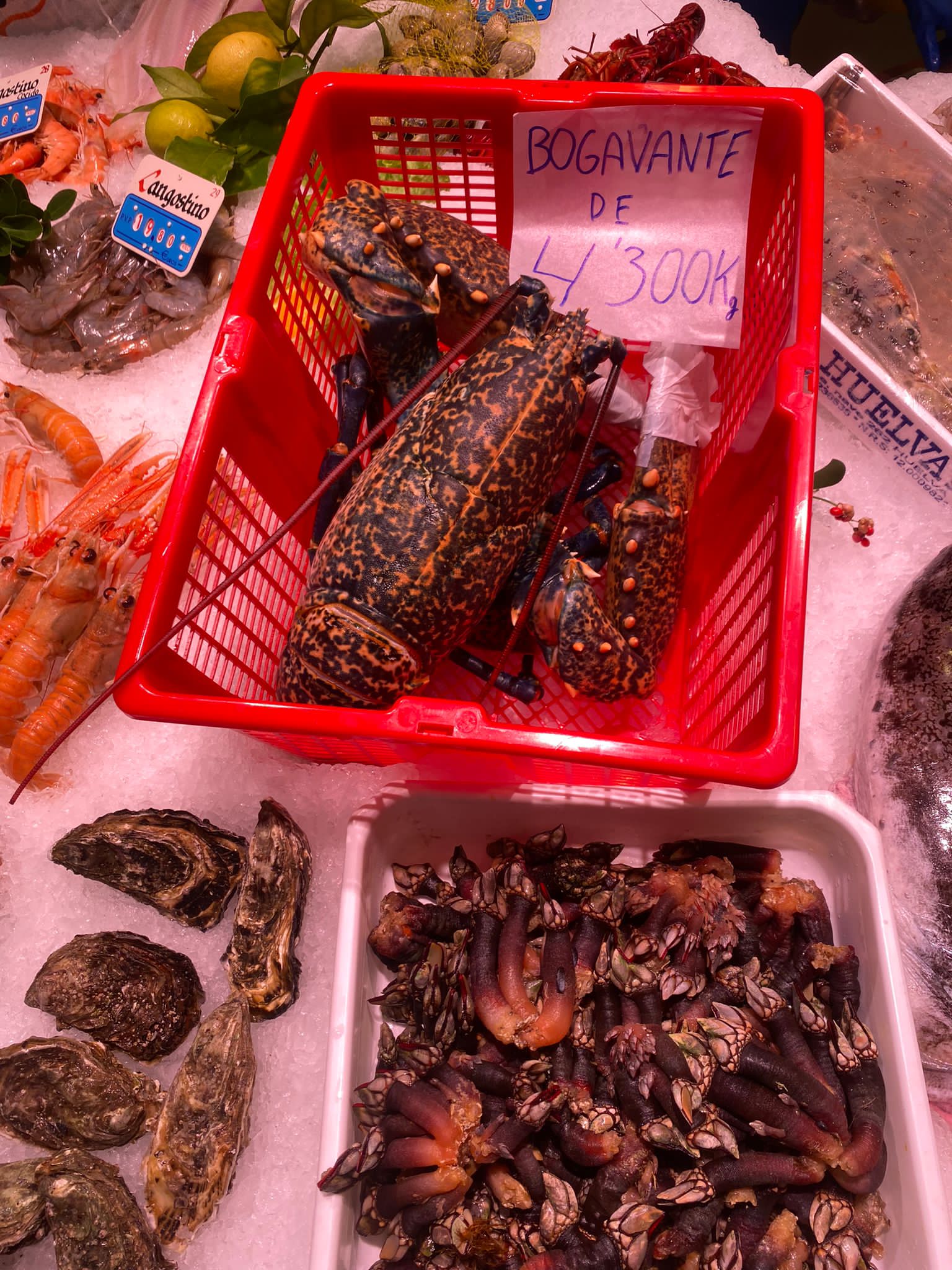 El bogavante gigante Moby Dick llega por Navidad a Irun | El Diario Vasco