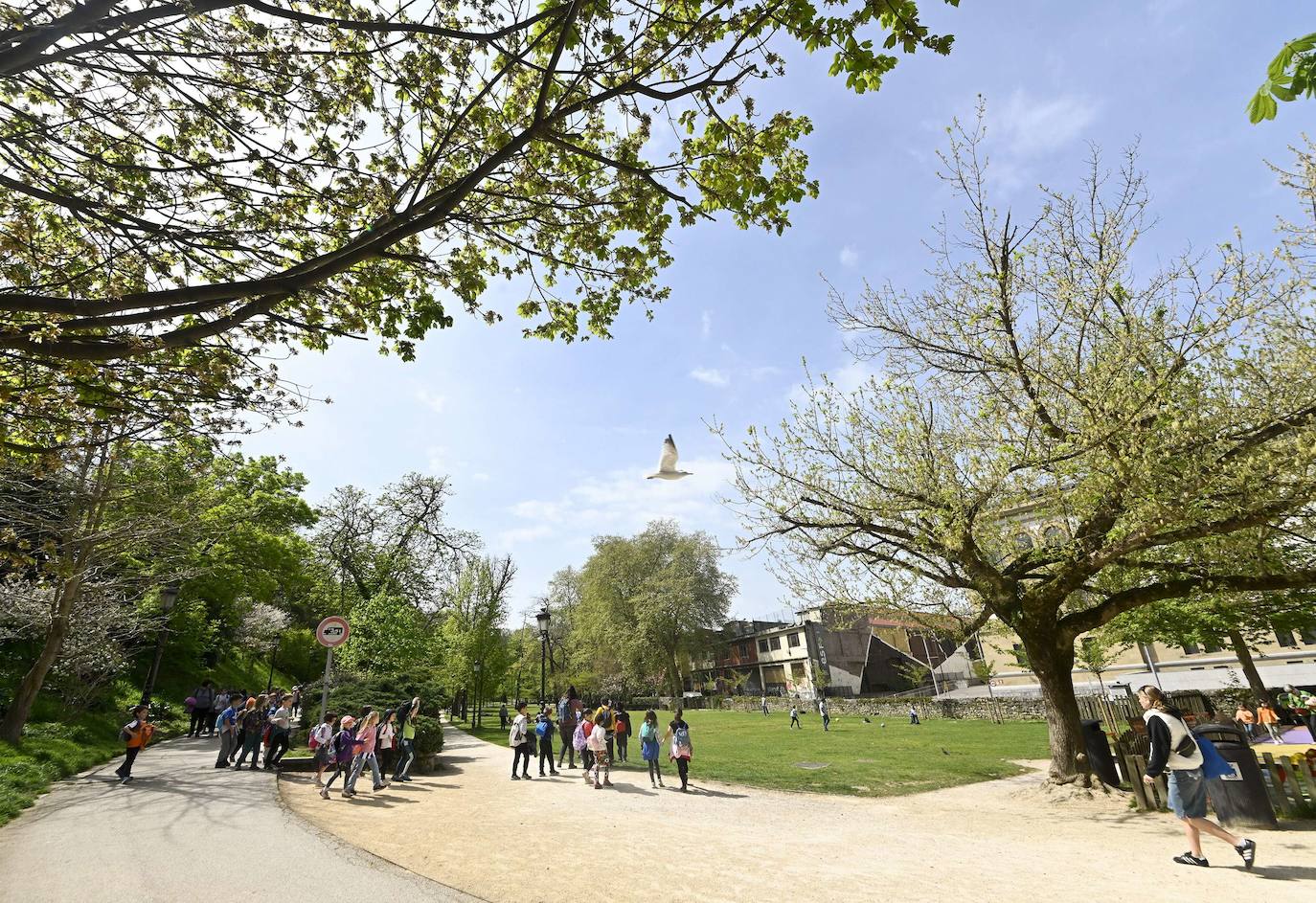 Visitas guiadas por el parque de Cristina Enea para observar el rastro ...