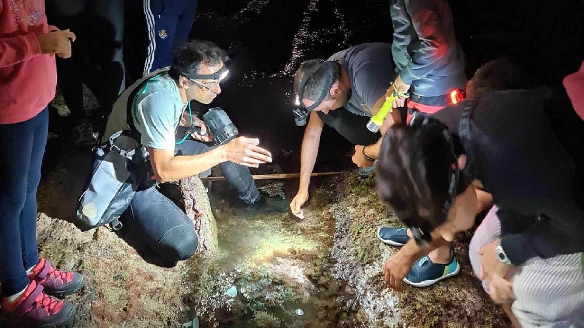 Deba: Vuelve 'Flisch at night', una forma única para conocer la fauna ...