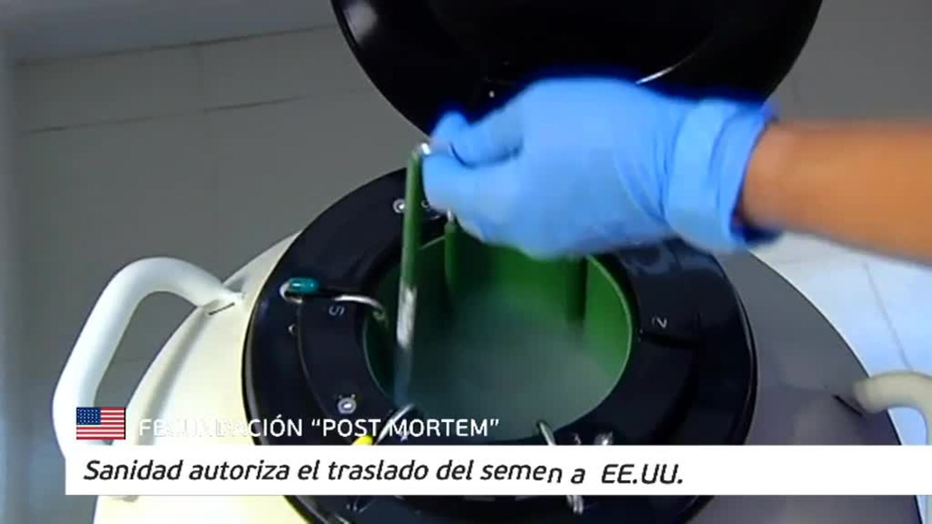 Fecundación "post mortem", excepcional en España | El Diario Vasco