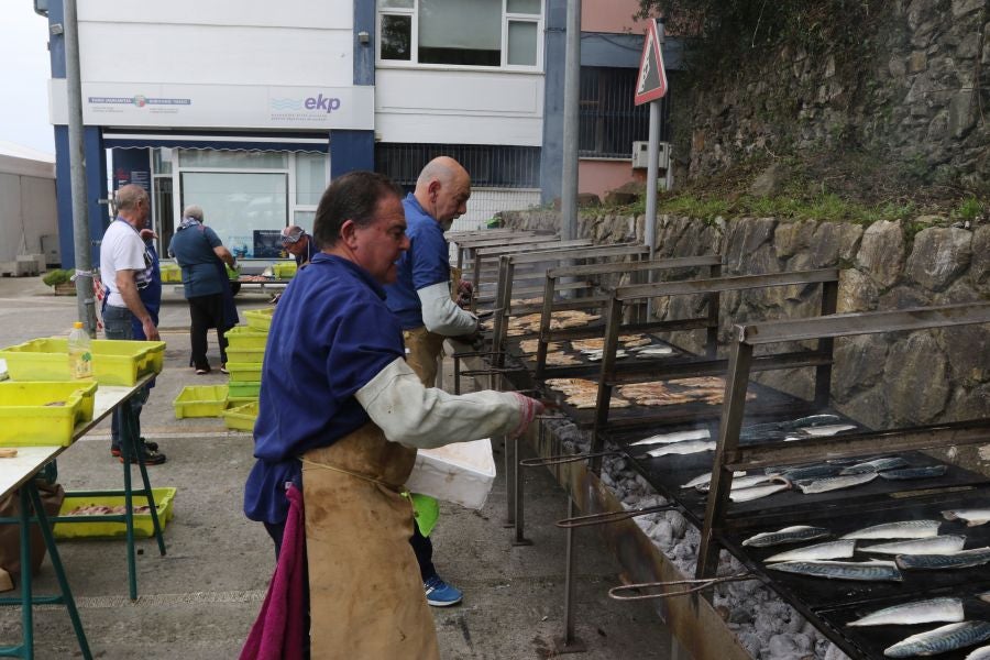 Verdel que te quiero verdel | El Diario Vasco