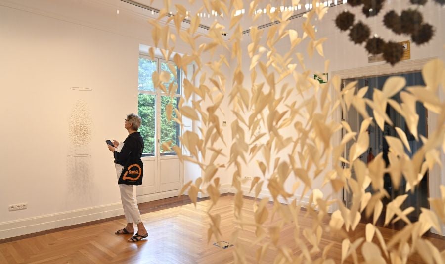 Las esculturas vegetales de María Cueto | El Diario Vasco