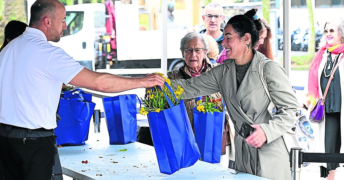 Sirimiri: Reparto gratuito de flores y plantas, este miércoles y jueves ...