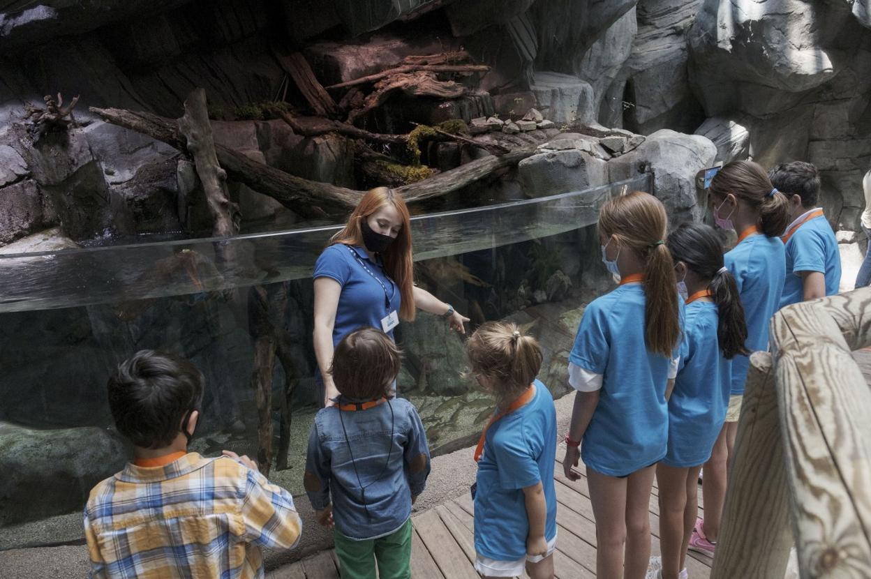Visita al Acuario de Gijón | El Comercio: Diario de Asturias