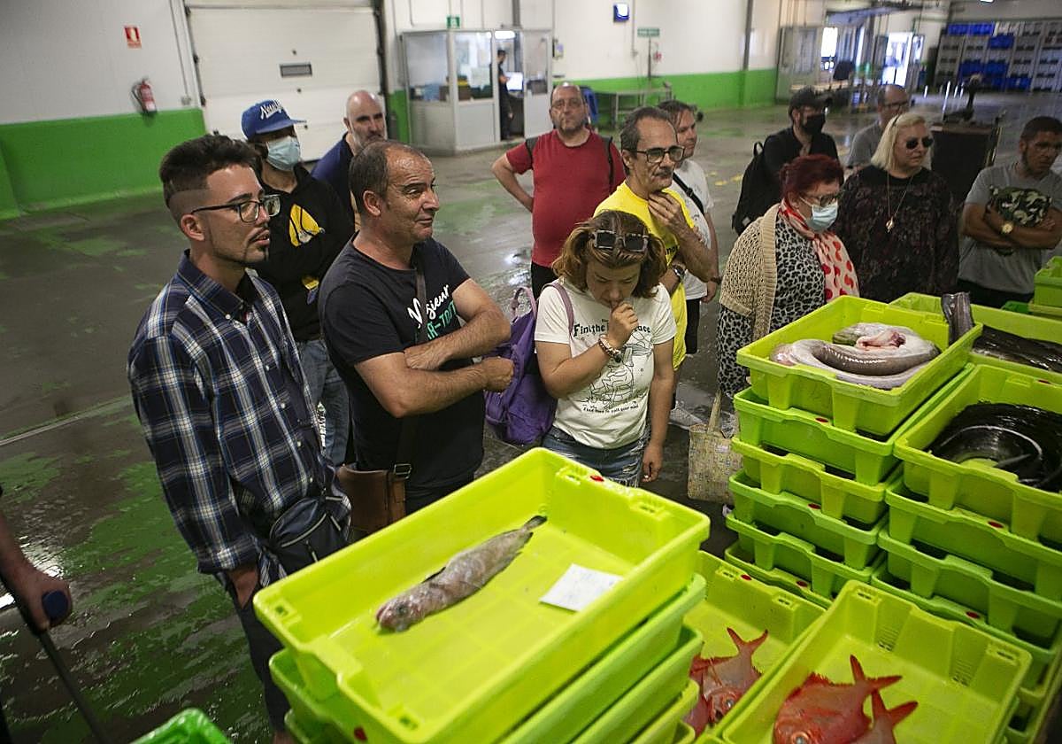 Las visitas guiadas a la rula se retomarán desde el 7 de julio al 5 de ...