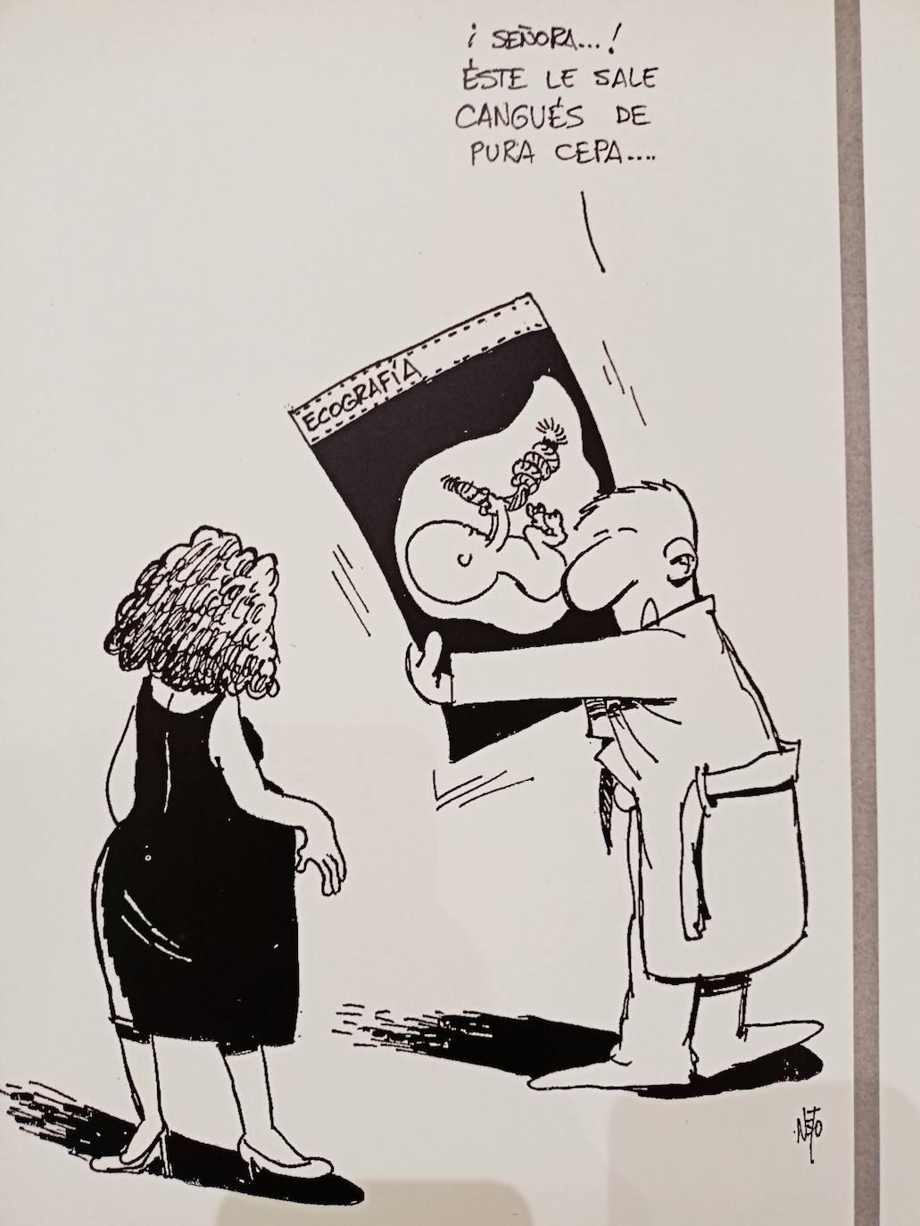 Una exposición de 150 viñetas de «humor cangués» | El Comercio: Diario ...