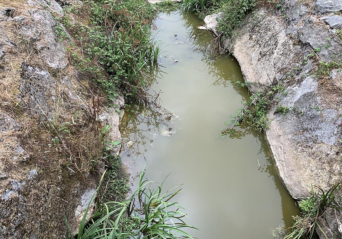 El río Ferrota se estanca en La Castañalona | El Comercio: Diario de ...