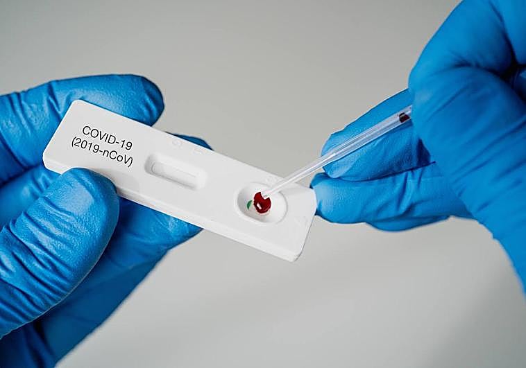 Las nuevas variantes de la covid 'eris' y 'pirola' no dan tregua: estos ...