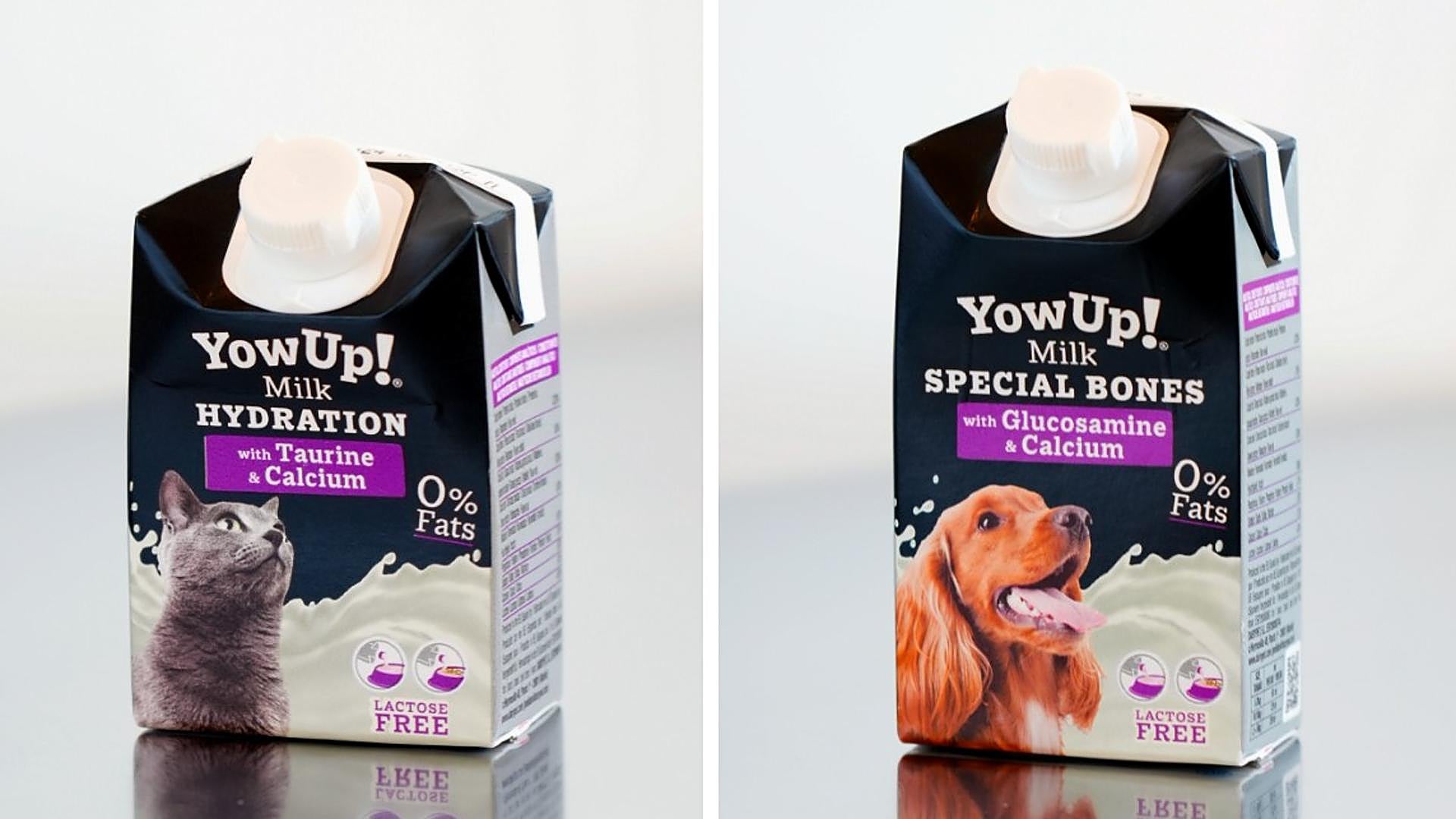 La empresa asturiana Capsa Food elabora la primera leche para gatos y ...