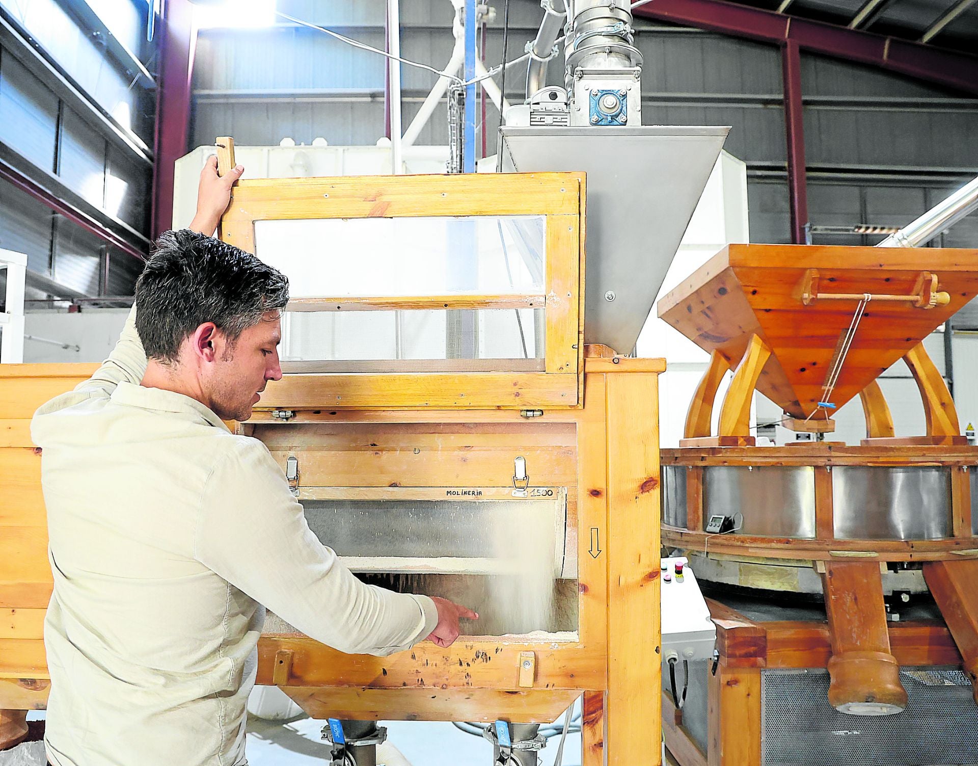 La escanda, un cereal milenario que se cosecha en pleno verano | El ...