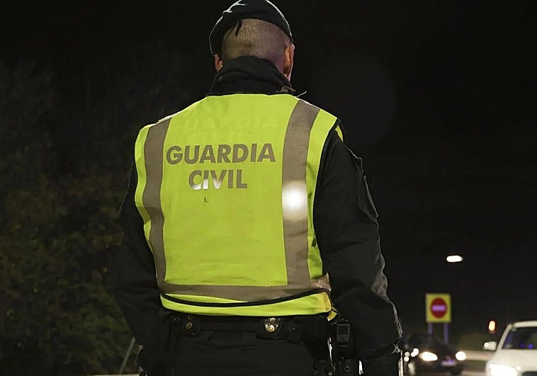 Un jabalí irrumpe en la Autovía de la Plata (A-66) a la altura de Ujo y ...