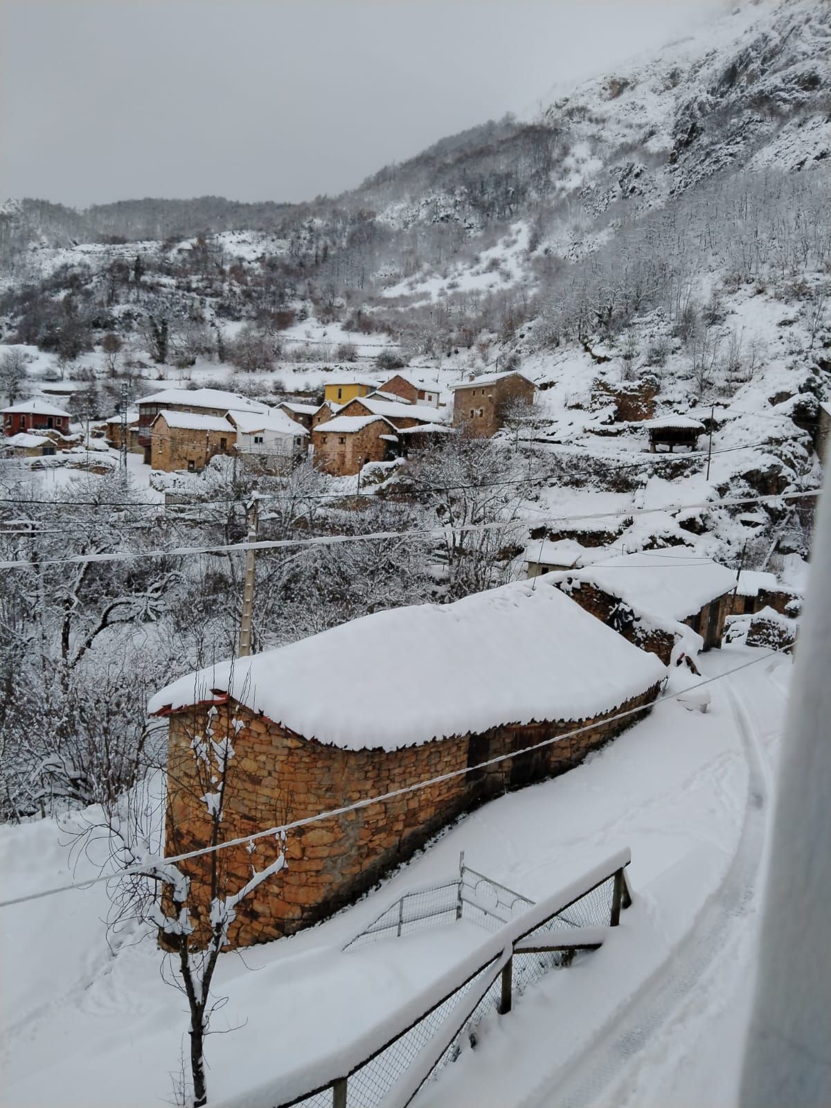 Asturias, bajo la nieve: las fotos que deja la borrasca 'Francis' | El ...