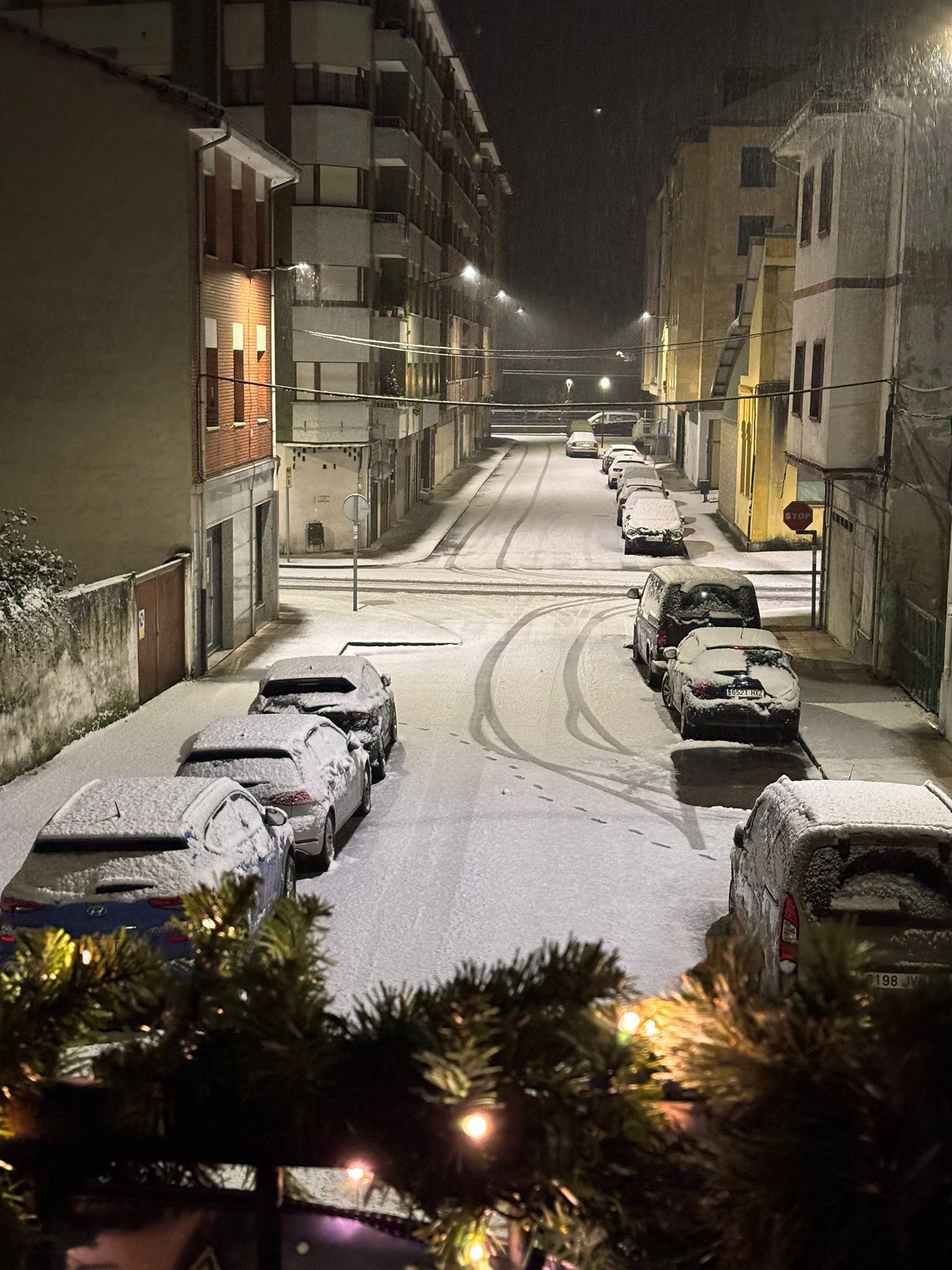 Asturias, bajo la nieve: las fotos que deja la borrasca 'Francis' | El ...