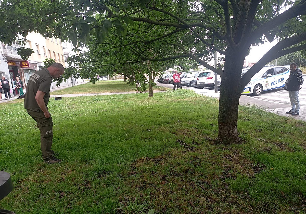 A la caza de una serpiente en el barrio de La Luz, en Avilés | El ...