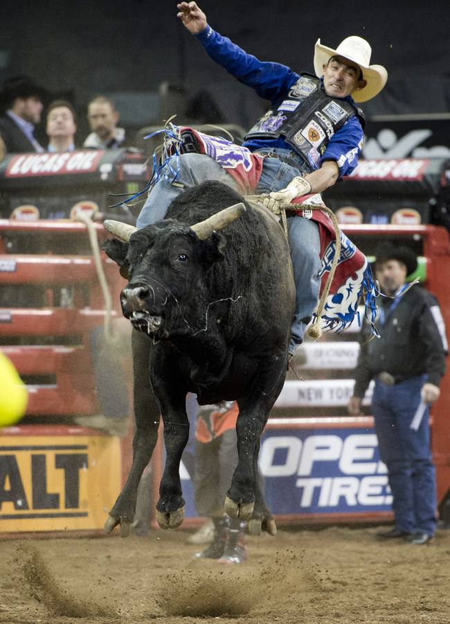 Toros salvajes en un rodeo en Nueva York | El Correo