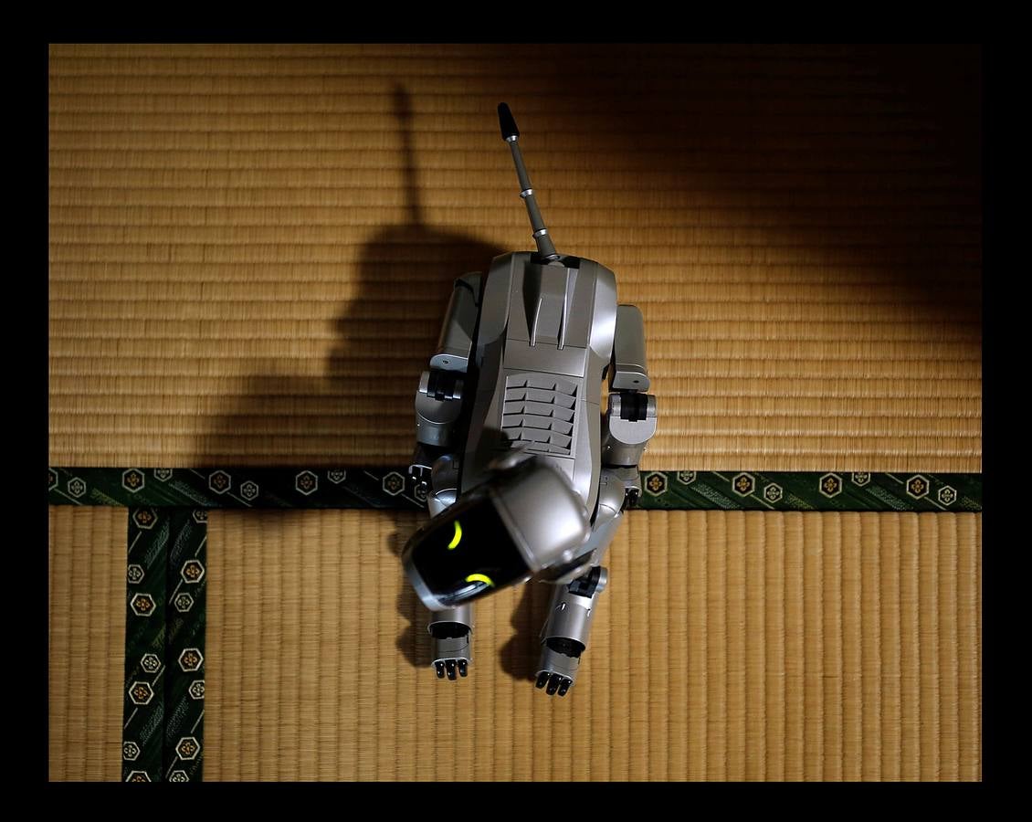 Fotos: Compañero robot | El Correo