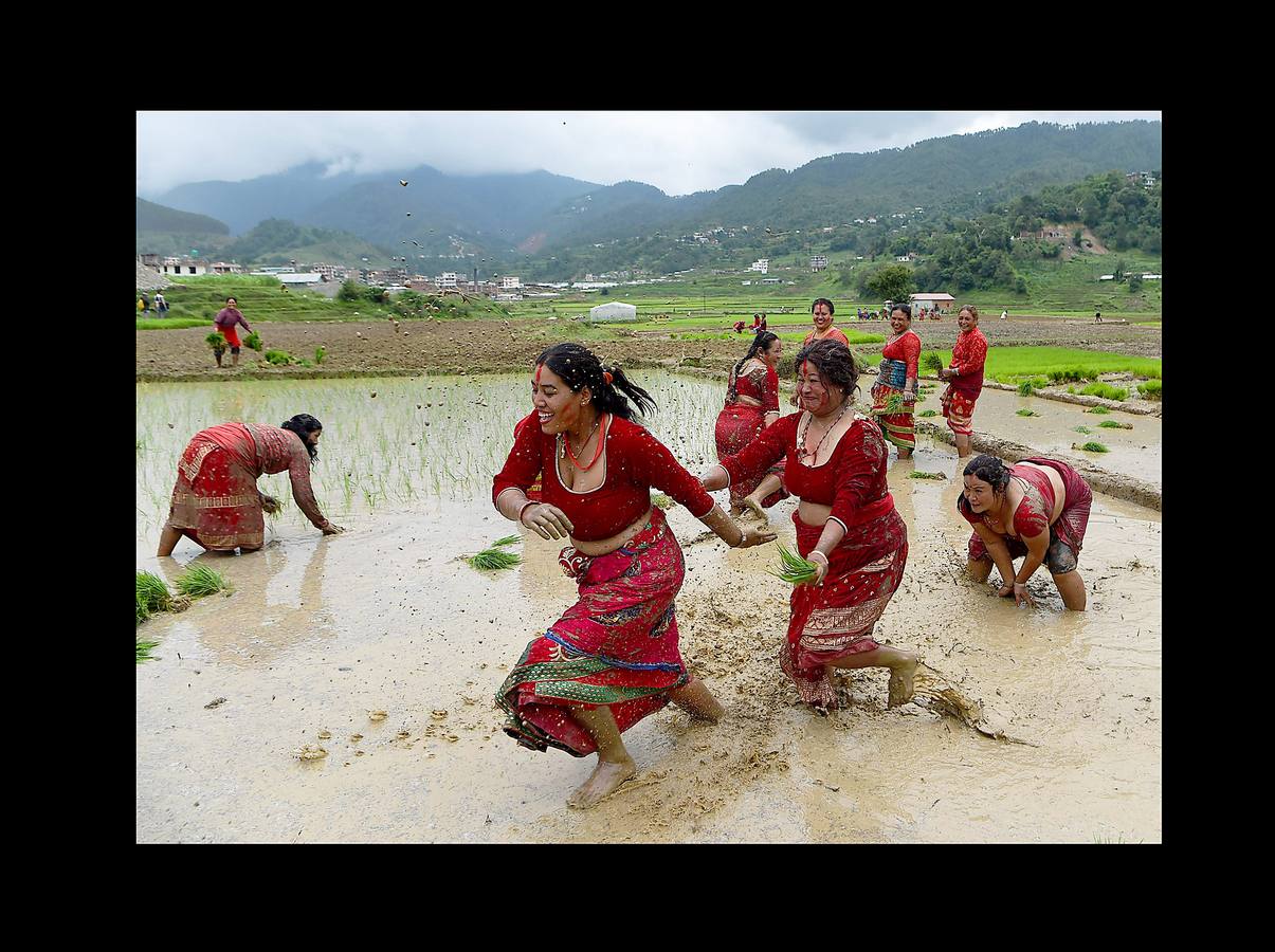 Fotos: La fiesta del arroz | El Correo